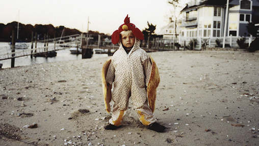 Your Photo Of The Day: Beach Rooster : The Picture Show : NPR