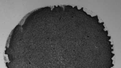 Scientists Crack The Physics Of Coffee Rings : NPR