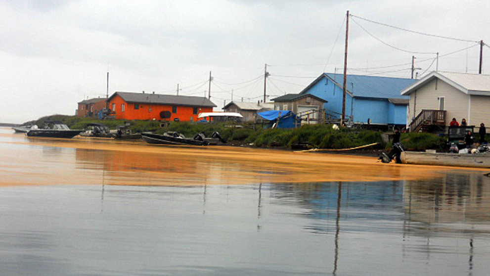 Orange Goo At Alaskan Village Found To Be Fungal Spores, Not Eggs : The ...