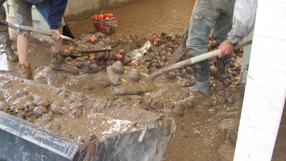 As Water Recedes, Cleanup Of A Soupy Mess Begins : NPR