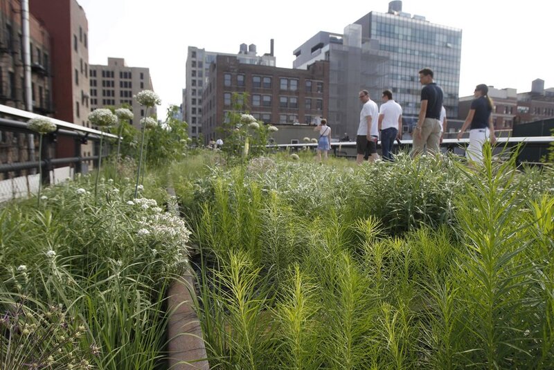 The Inside Track On New York City's High Line : NPR
