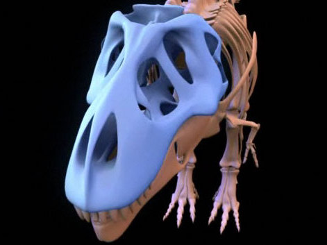 Born To Prey: Watch T. Rex Come Alive | NCPR News