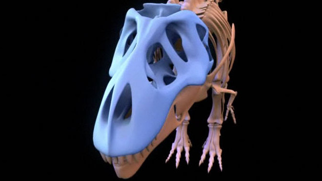 Born To Prey: Watch T. Rex Come Alive : NPR