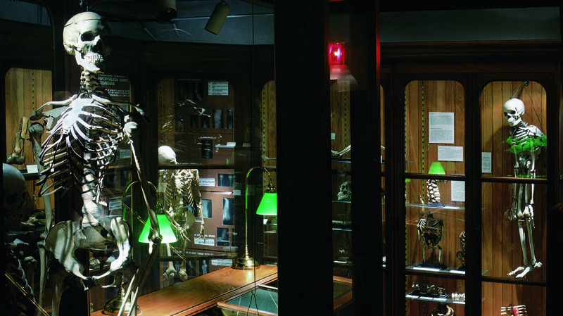 Quays Focus 'Weeping Glass' On The Mutter Museum : NPR