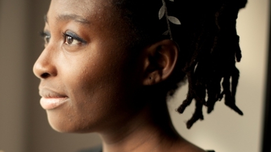 A Muse Gets Mad In Oyeyemi's Magical 'Mr. Fox' : NPR