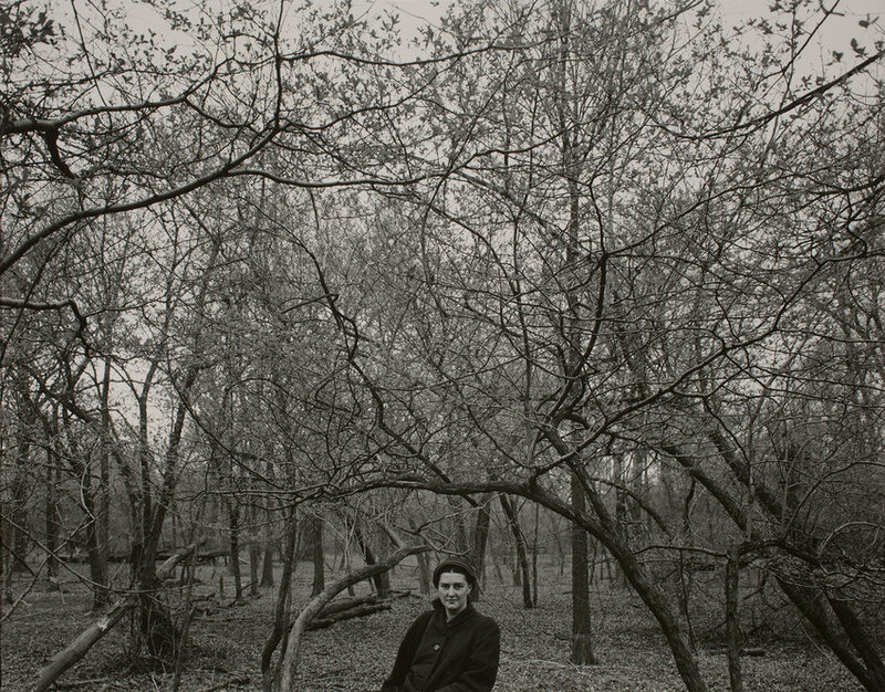 Celebrating Harry Callahan, A Founding Father Of Photo Classes : The ...