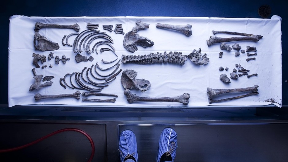 Bones Of Aussie Outlaw Legend Rise Again : NPR