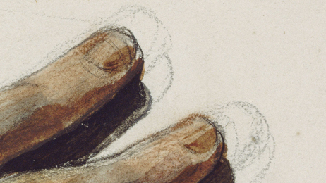 The Difference A Hand Makes : Krulwich Wonders... : NPR