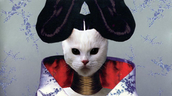 Classic Album Covers Reimagined (With Kittens) : All Songs Considered : NPR