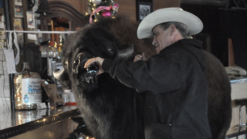 The Story Of A Guy And His Pet Buffalo : The Two-Way : NPR