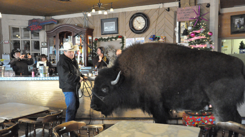 The Story Of A Guy And His Pet Buffalo : The Two-Way : NPR