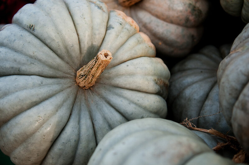 For Thanksgiving, Pumpkins That Won't Be Found In Cans : The Salt : NPR