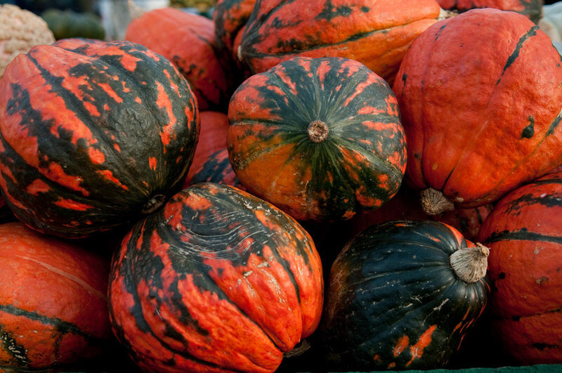 For Thanksgiving, Pumpkins That Won't Be Found In Cans : The Salt : NPR