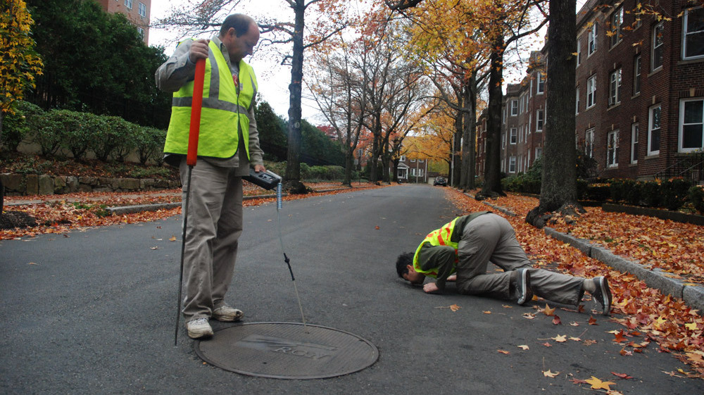 Boston's Leaky Gas Lines May Be Tough On Trees : NPR