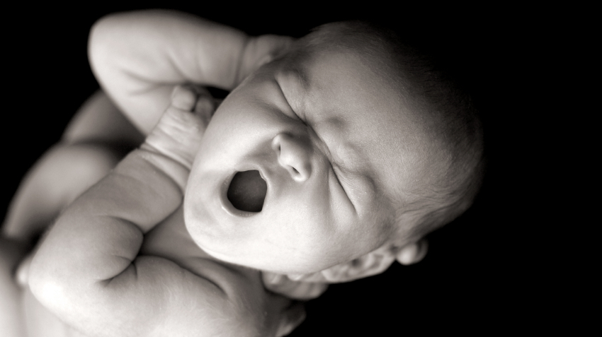 Making Babies: 21st Century Families : NPR