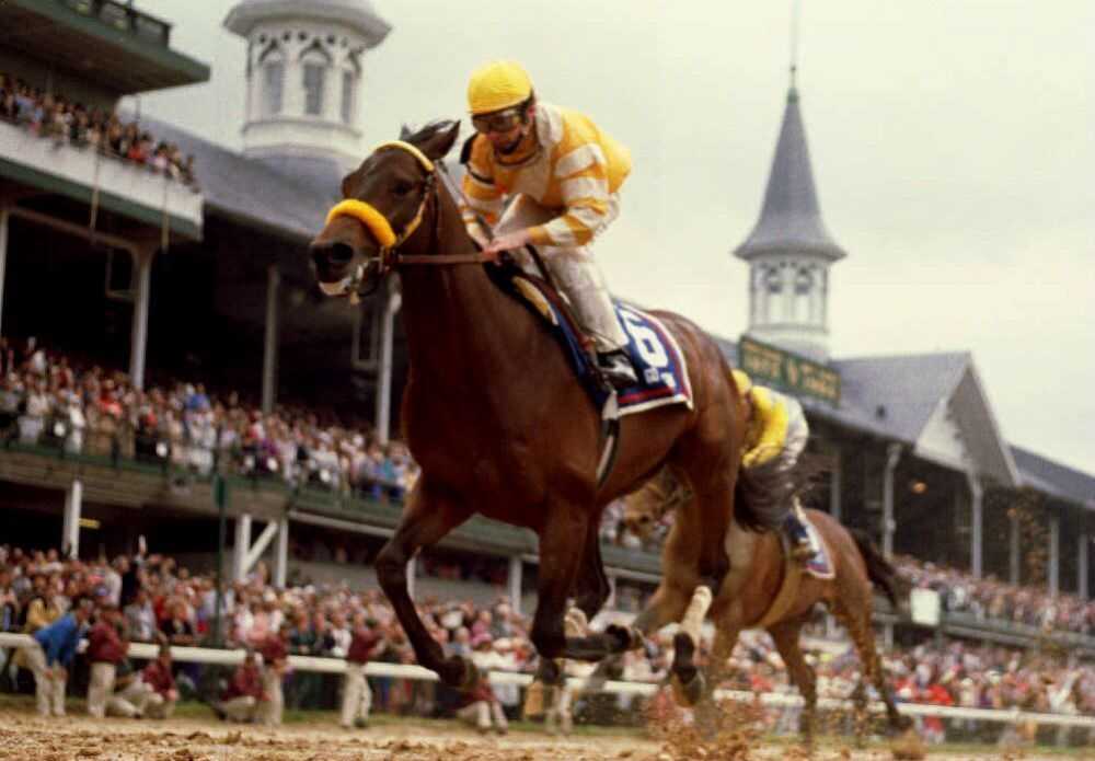 Jockey Chris McCarron Plays Not My Job : NPR