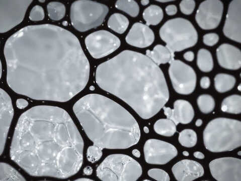 When Bubbles Get Comfortable : Krulwich Wonders... : NPR