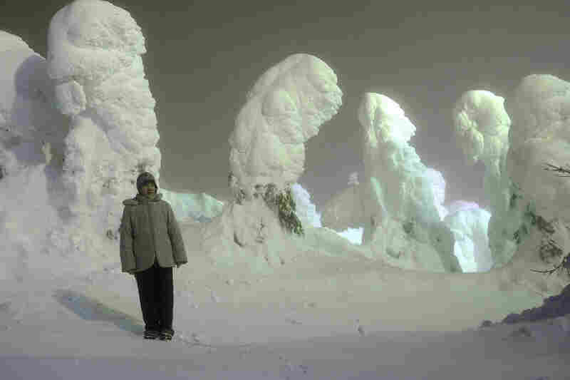 Skiers Beware: Japan's Snow Monsters : The Picture Show : NPR