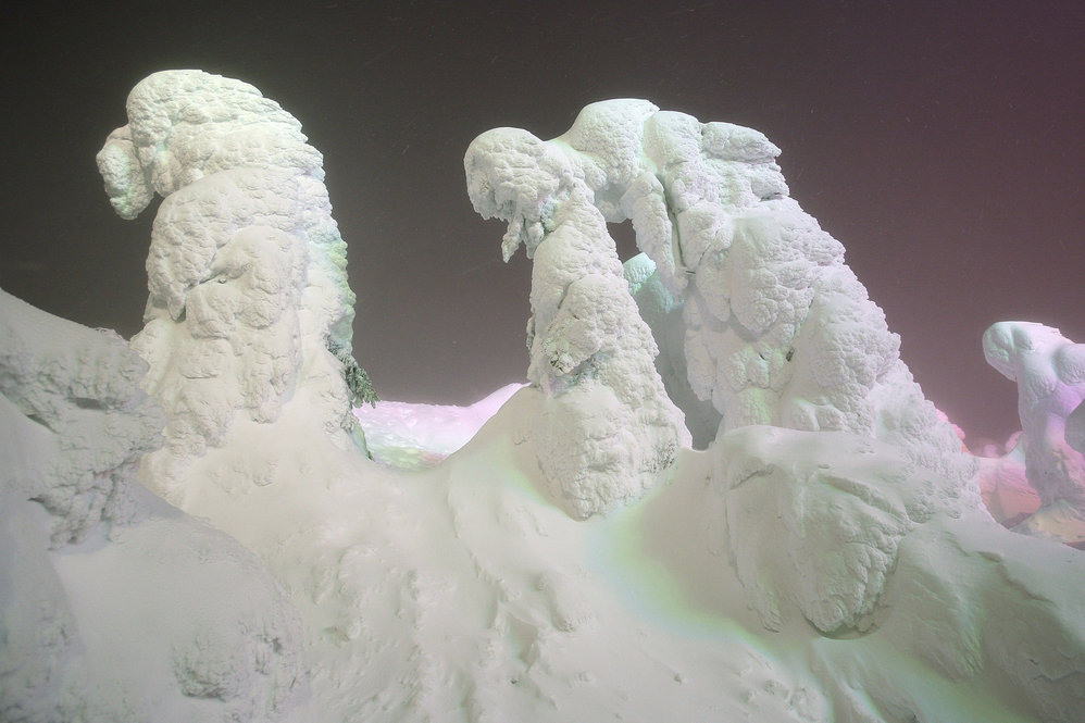 Skiers Beware: Japan's Snow Monsters | NCPR News
