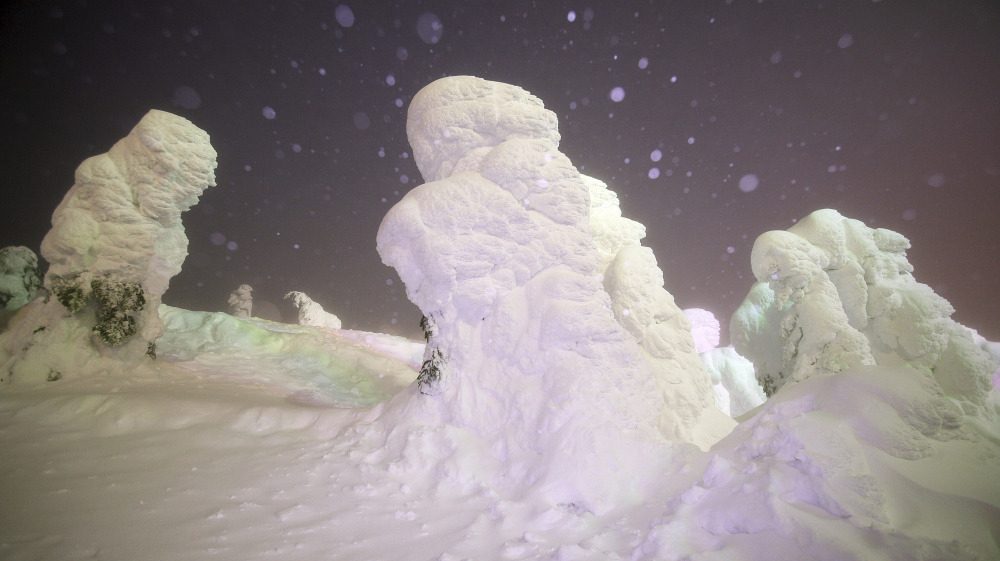 Skiers Beware: Japan's Snow Monsters : The Picture Show : NPR