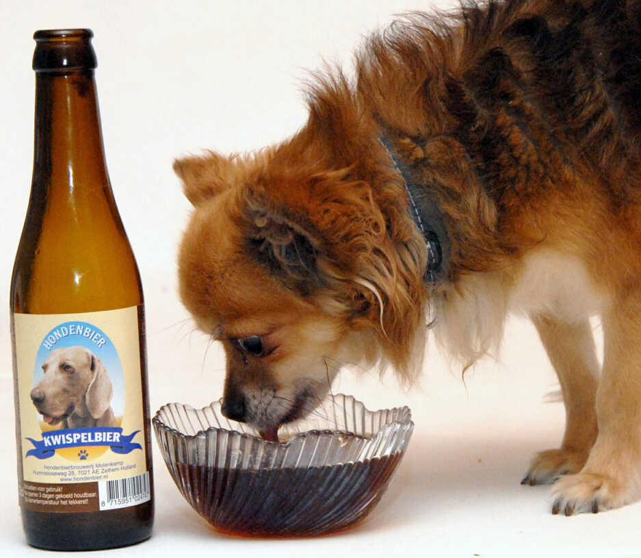 Beer For Bowser? It's Been Around For A While : The Two-Way : NPR