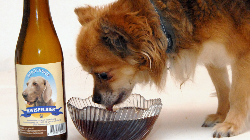 Beer For Bowser? It's Been Around For A While : The Two-Way : NPR