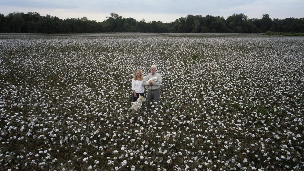 In The Delta, King Cotton Dethroned? : The Picture Show : NPR