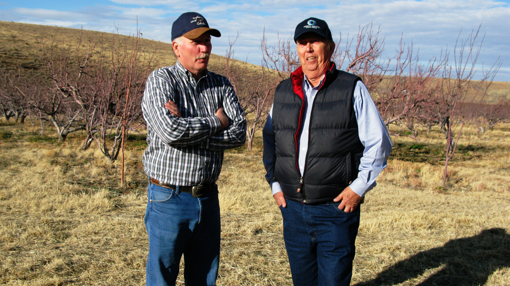 Mexican Cousins Keep Romney's Family Tree Rooted : NPR