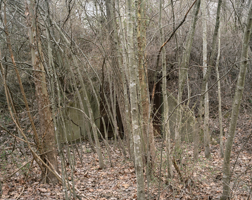Mothman Sightings 2011