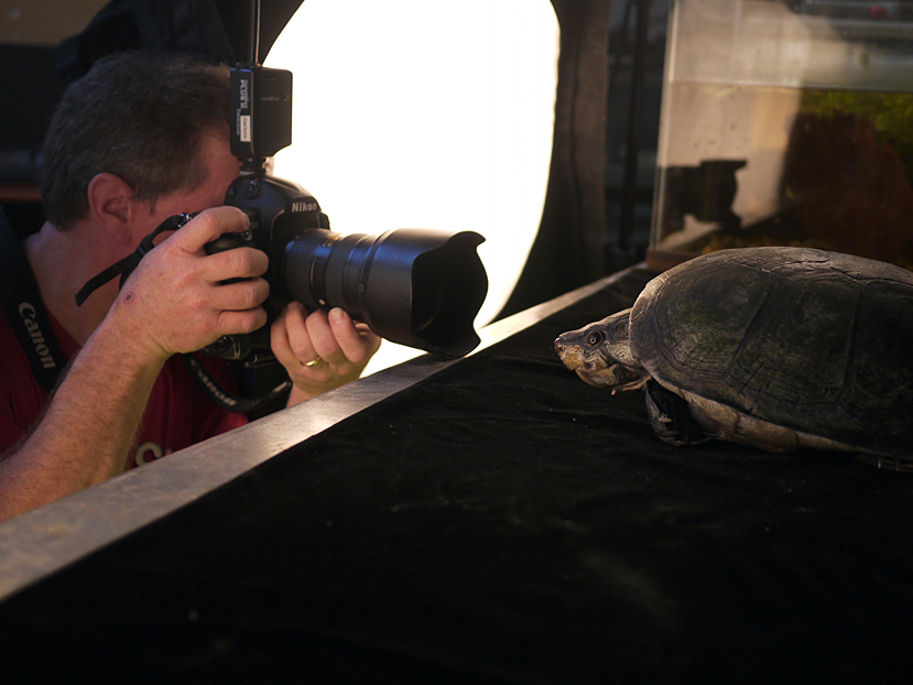 One Man's Quest To Capture America's Endangered Zoo Animals (With A ...
