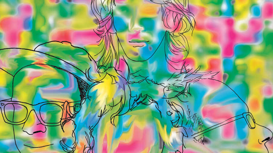 Delicate Steve : NPR