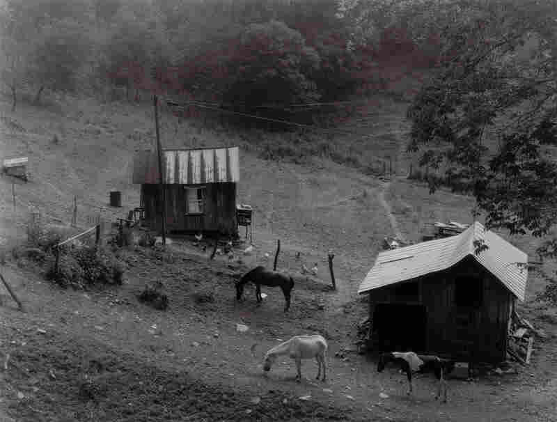 A Lens On Life In The Kentucky Hollows : The Picture Show : NPR