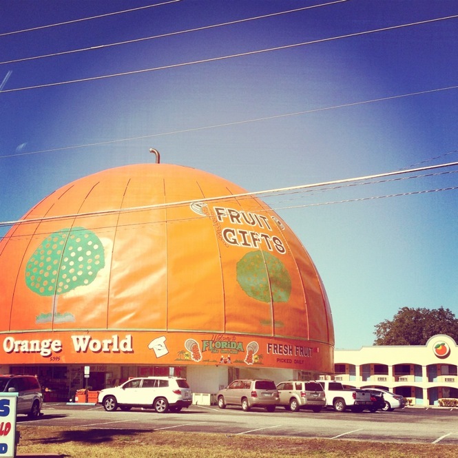 An Illustrated Guide To Weirdly Wonderful Florida : The Picture Show : NPR