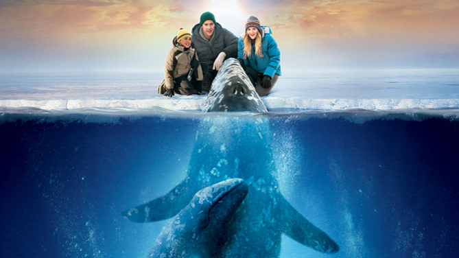 Media 'Miracle': The 'Big' Story Of Three Whales : NPR