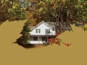 Donald Hall: A Poet's View 'Out The Window' | NCPR News