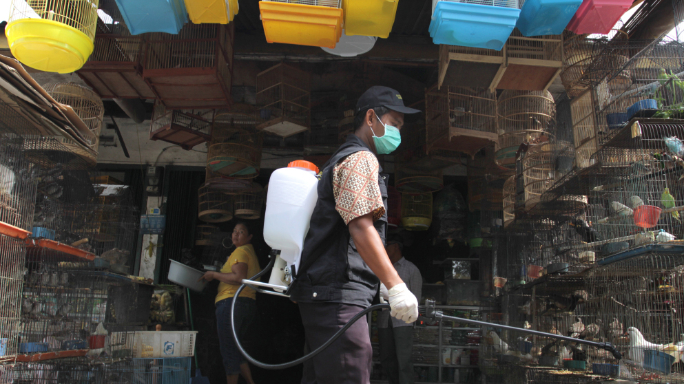 Scientists Take Cautious Tack On Bird Flu Research : NPR