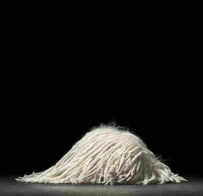 'Flying Mop' And Other Canine Glam Shots : The Picture Show : NPR