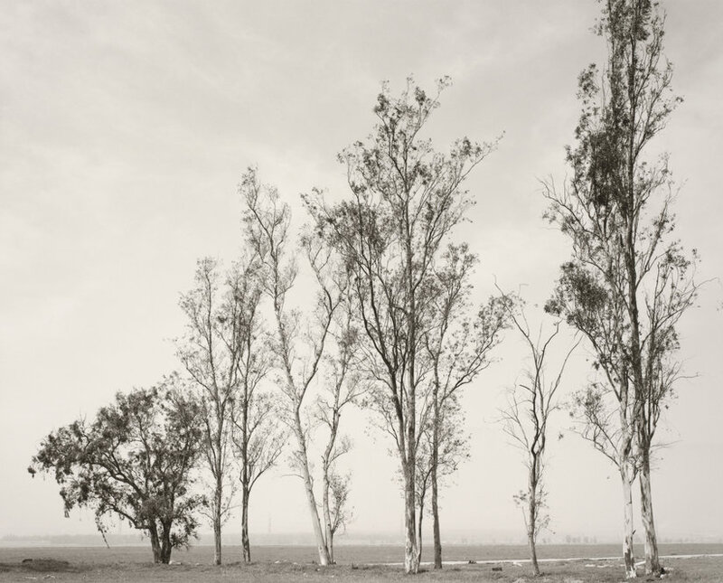 You Know Ansel, But Who Is Robert Adams (And Why Should You Care ...