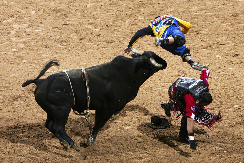 The Rodeo Circuit: Bucking Bulls And Broken Bones : NPR