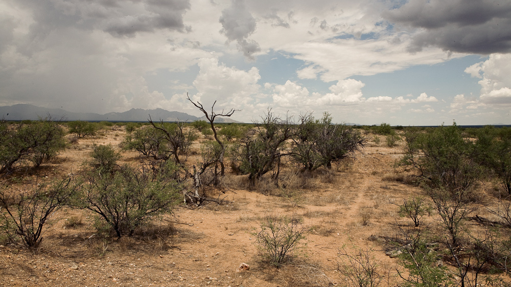 'Living, Breathing Archaeology' In The Arizona Desert : NPR