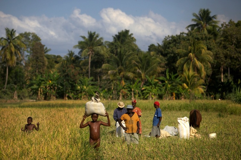In Haiti, Bureaucratic Delays Stall Mass Cholera Vaccinations : Shots ...