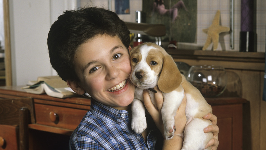 Fred Savage: A Child Star Makes Good, With Less Than Wholesome Comedies ...