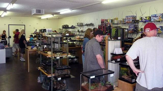 A Bug's Life: Store Caters To Collectors Of Crawly Pets : NPR