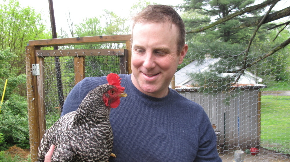 Betting Better Fake Chicken Meat Will Be As Good As The Real Thing ...