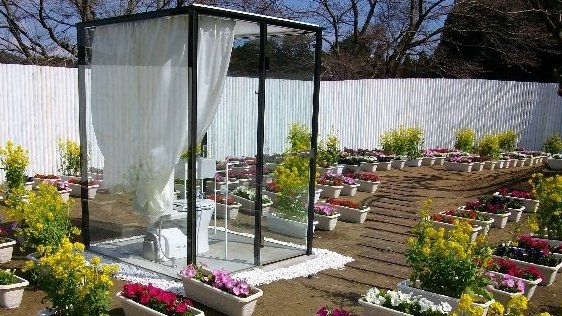 'Biggest Public Toilet In The World' Now Good To Go In Japan : The Two ...