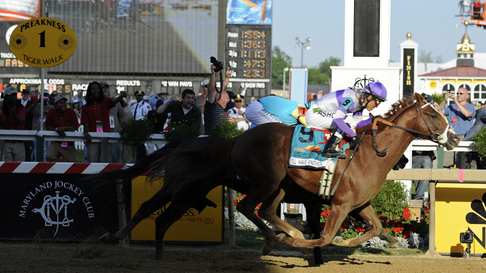 Derby Winner I'll Have Another Captures Preakness : The Two-Way : NPR