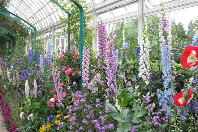 Monet's Green Thumb: How Art Grew From A Garden : NPR