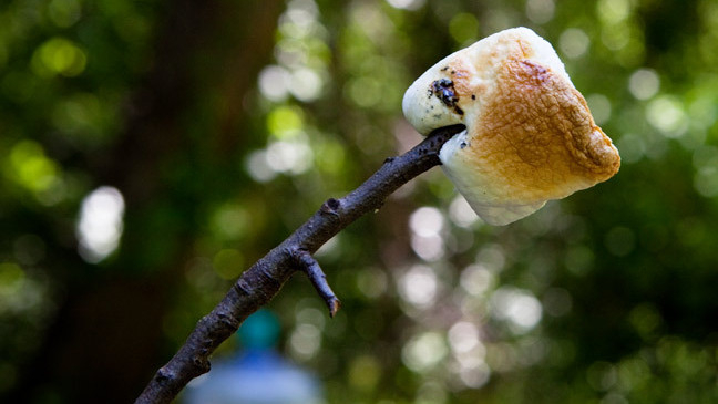 Summer Science: The Perfectly Toasted Marshmallow : NPR