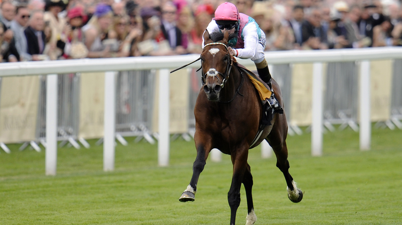 'Awesome' Frankel Runs Away At Ascot : The Two-Way : NPR