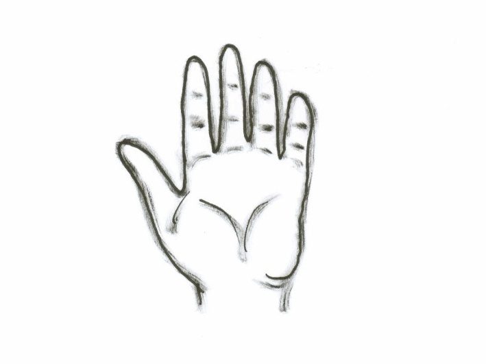 Phantom Finger Points To Secrets In The Human Brain : Krulwich Wonders ...